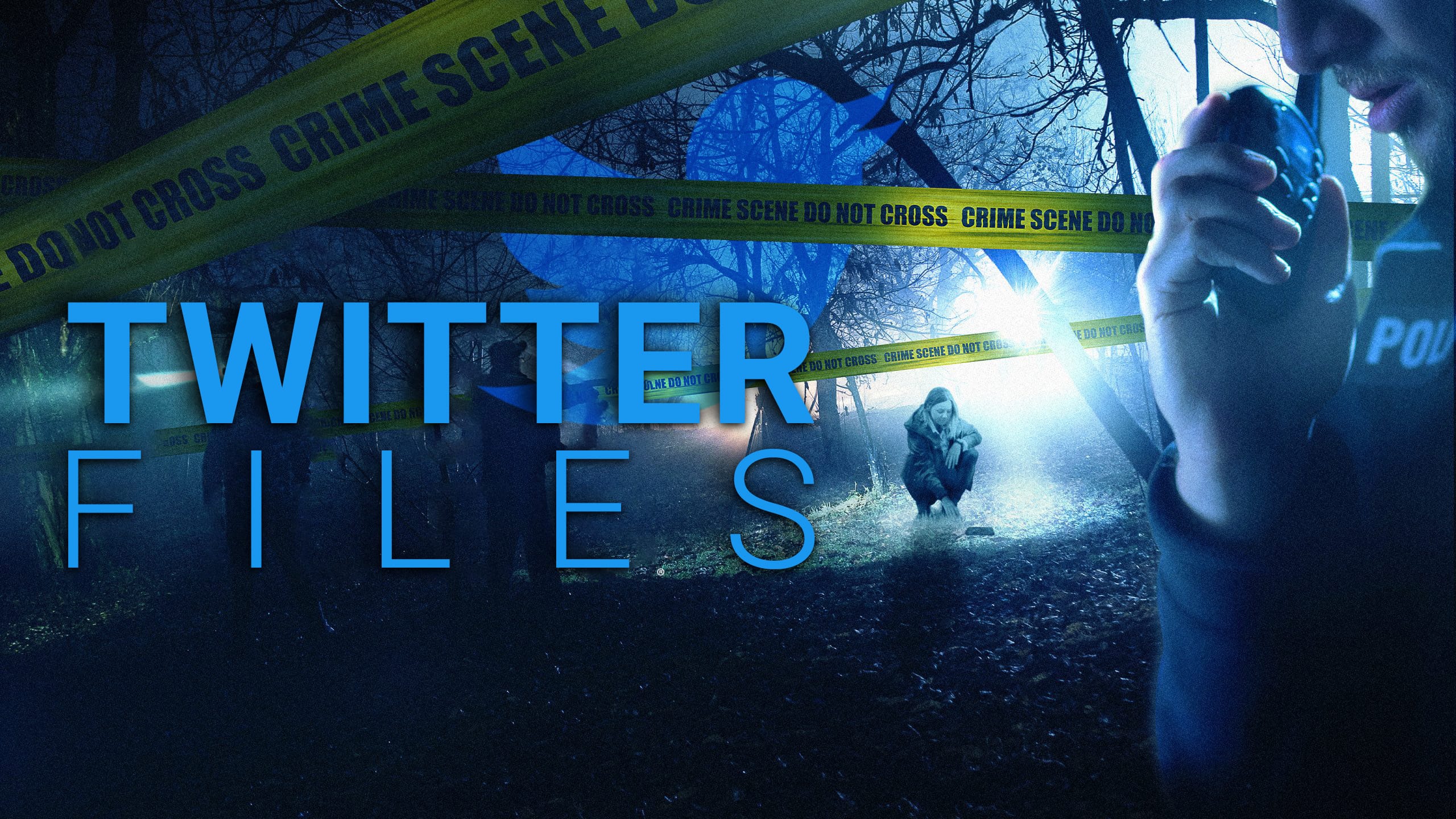 Cosa insegnano i Twitter Files: informarsi online è sempre più ...